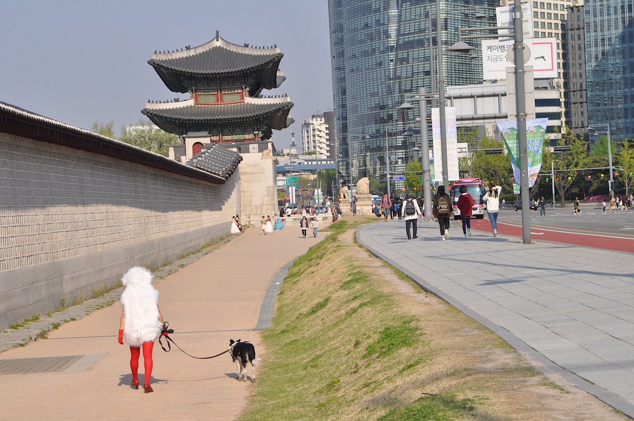 Gallery Zero: Feng-Ru Lee - Nottingham Contemporary